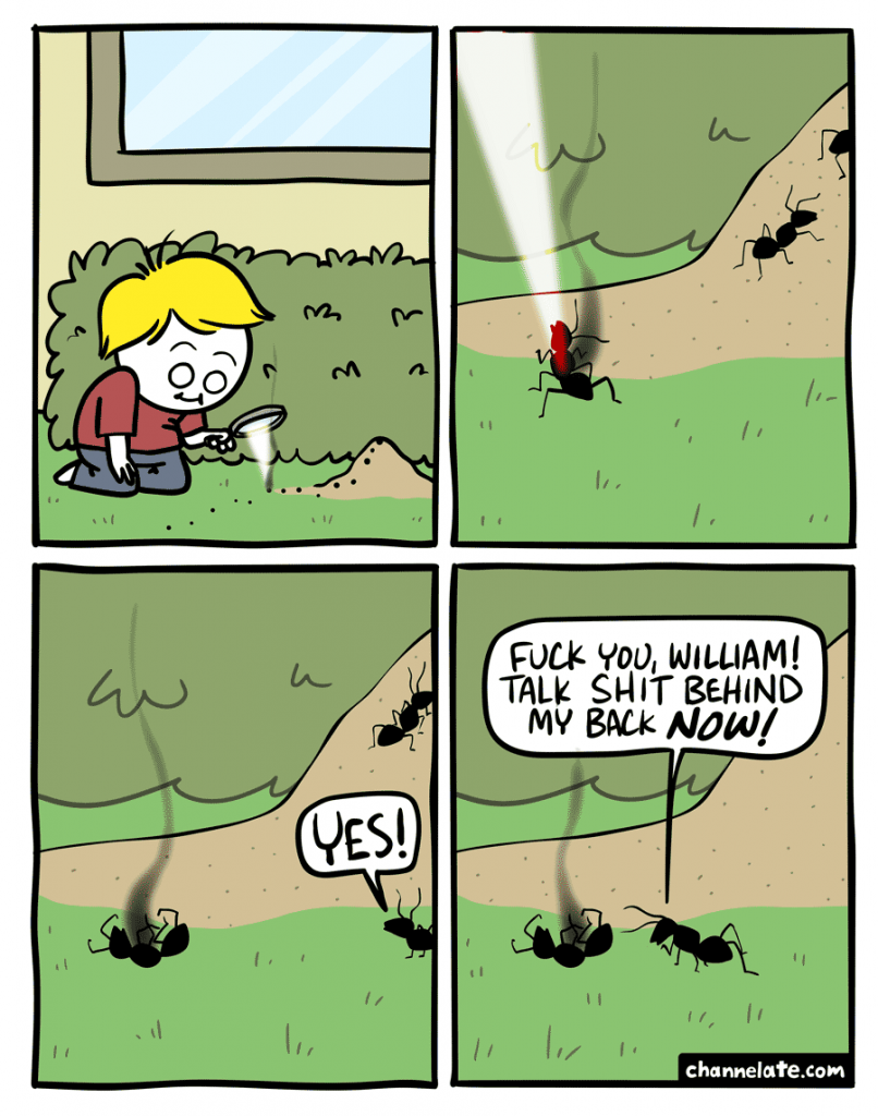 Ants. – Channelate